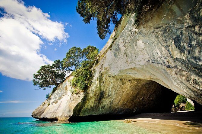 Coromandel Coastal Experience - Small Group Tour from Auckland - Introduction: A Scenic Day Trip from Auckland