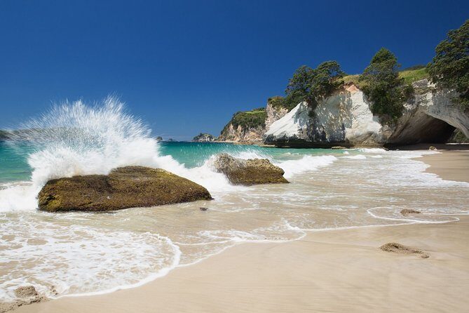 Coromandel Coastal Experience - Small Group Tour from Auckland - The Value of This Tour