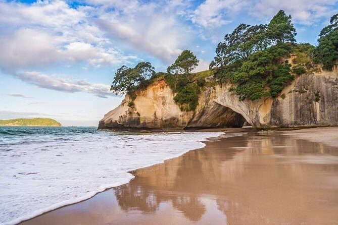 Coromandel Coastal Experience - Small Group Tour from Auckland - FAQs