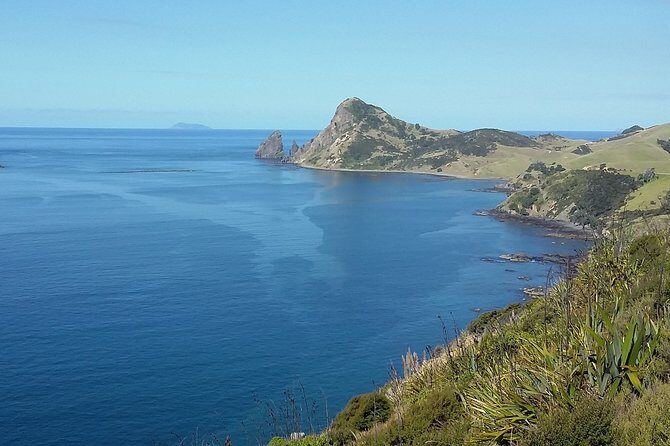 Coromandel Coastal Experience - Small Group Tour from Auckland - Final Thoughts