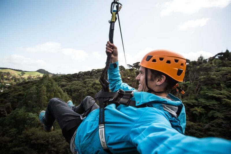 Coromandel: Guided Zipline Tour Experience - Key Points