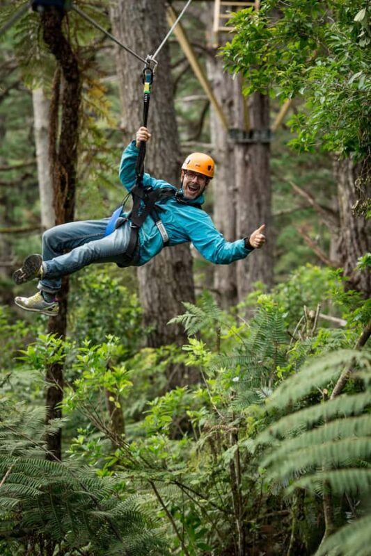 Coromandel: Guided Zipline Tour Experience - Authentic Insights from Reviewers