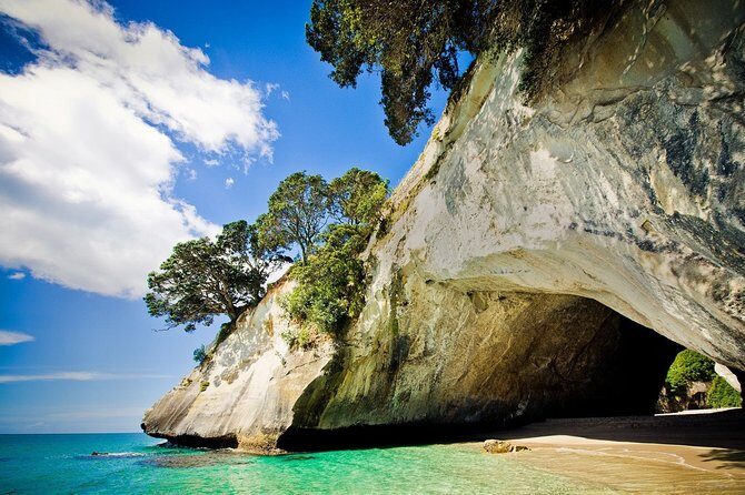 Coromandel Peninsula Discovery - Private Tour From Auckland - What We Loved About the Tour