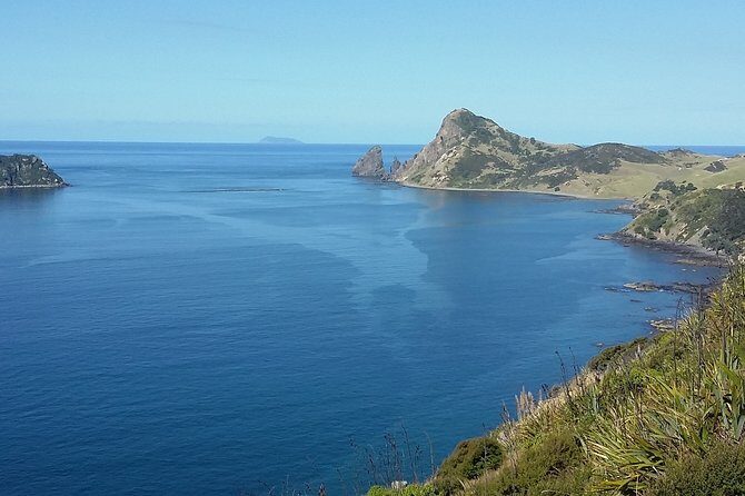 Coromandel Peninsula Discovery - Private Tour From Auckland - Who Should Consider This Tour?