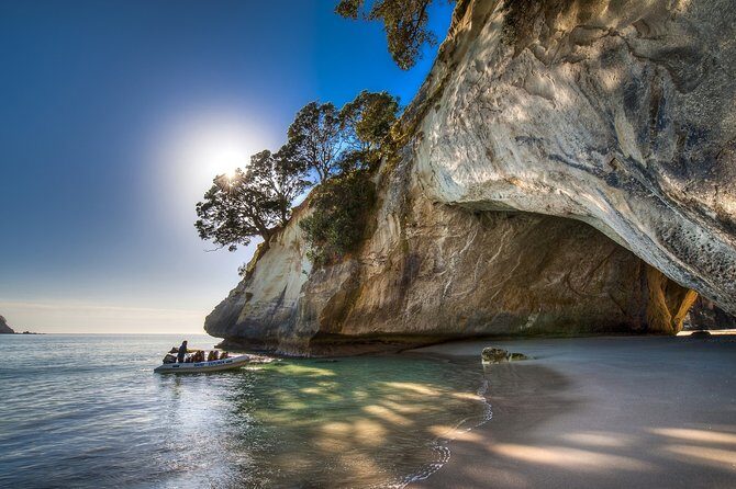 Coromandel Peninsula Discovery - Private Tour From Auckland - The Sum Up