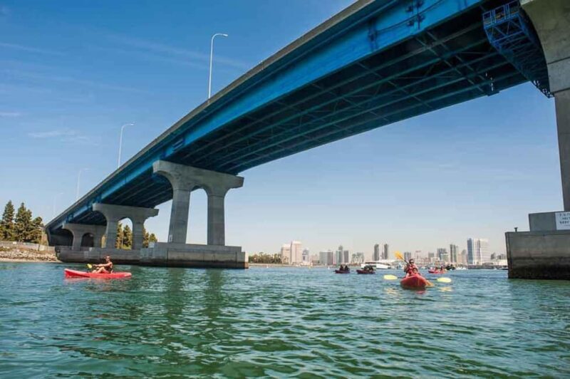 Coronado Guided Kayak Tour 90-Min - FAQ: Your practical questions answered