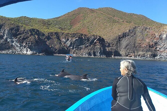 Coronado Island Adventure, snorkeling & picnic on the beach - Who Would Love This Tour?