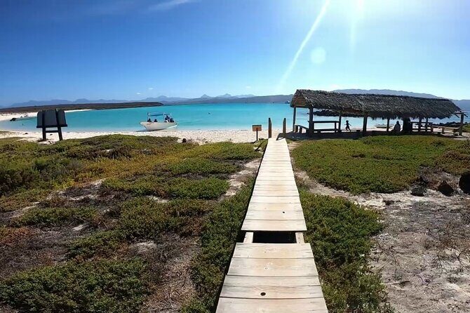 Coronado Island Adventure, snorkeling & picnic on the beach - The Sum Up