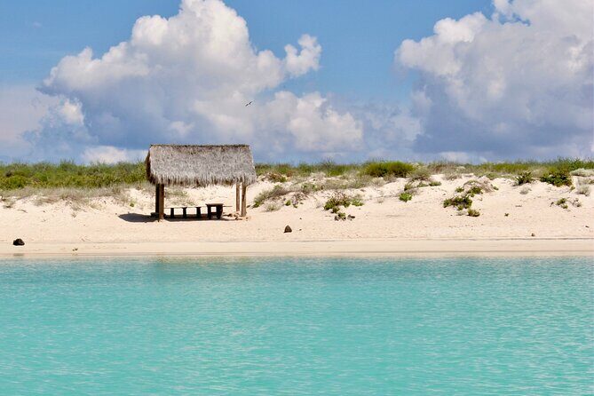 Coronado Island and Snorkel Tour - Final Thoughts: Is It Worth It?