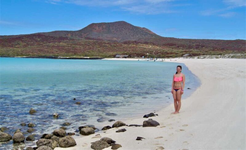 Coronado Island and Snorkel Tour - Key Points