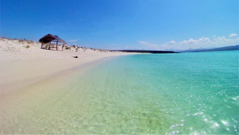 Coronado Island and Snorkel Tour - Who Should Consider This Tour?