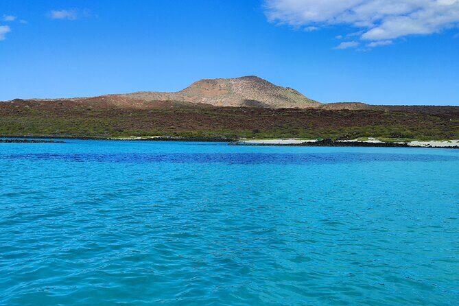 Coronado Island Visit and Sea Lions Swimming - FAQ