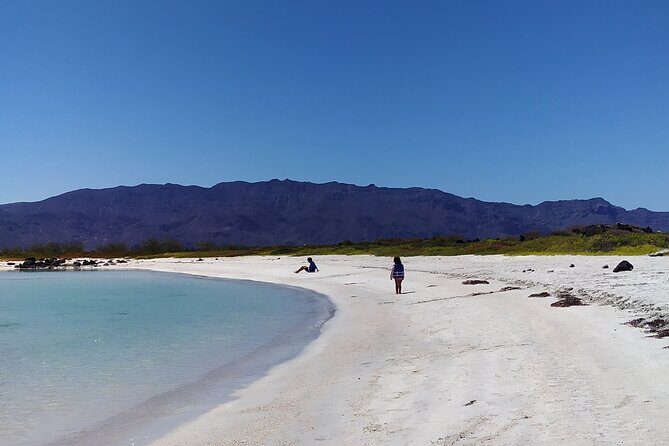 Coronados Island Tour in Loreto Bay - What We Loved About This Tour