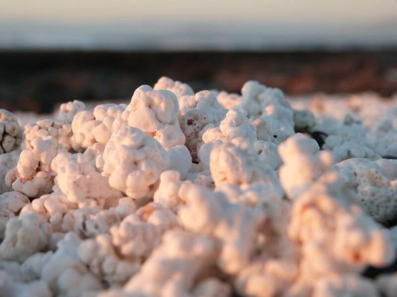 Corralejo: E-Bike Rental with Map to Popcorn Beach - Authentic Experiences and Reviews