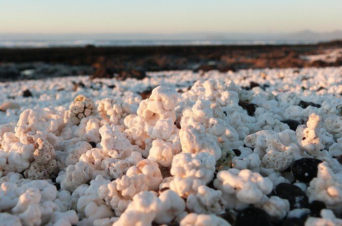 Corralejo: self guided Ebike tour to Popcorn beach and volcanoes - Who Will Love This Experience?