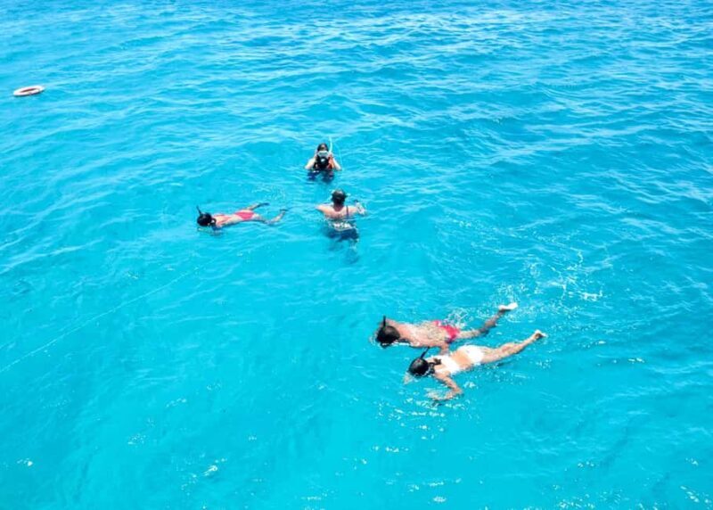 Corralejo: Snorkeling on Lobos Island & Return Ferry Ticket - Authentic Insights from Real Reviewers