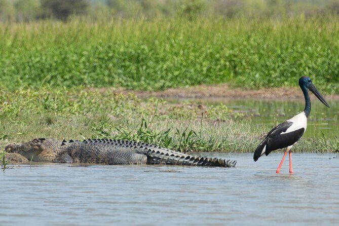 Corroboree Billabong 2.5 hour Lunch Cruise - Who Should Consider This Tour?