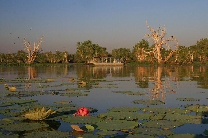 Corroboree Billabong Wetland Cruises - 2 hour Sunset Cruise - An Authentic Wetland Adventure Just Outside Darwin