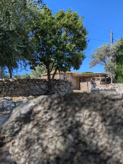 Corsica: Organic wine tasting - A Closer Look at the Experience