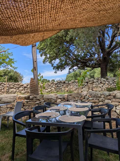 Corsica: Organic wine tasting - Who Should Consider This Experience?