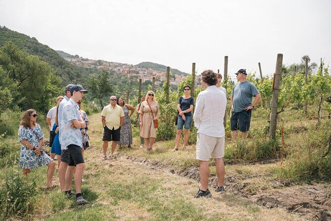 Cortecorbo winery: Pizza Cooking class, lunch & wine tasting - Why This Tour Is a Great Choice
