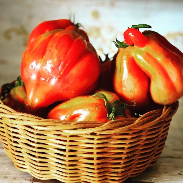 Cortona: Pasta and Pizza Cooking Class - The Experience Breakdown