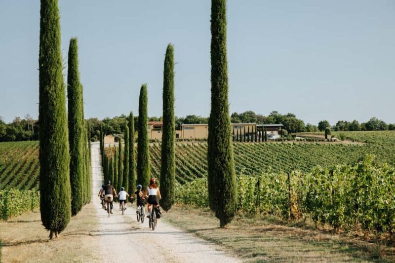 Cortona: Val di Chiana E-Bike Tour with Optional Wine Lunch - Is the Tour Worth the Price?