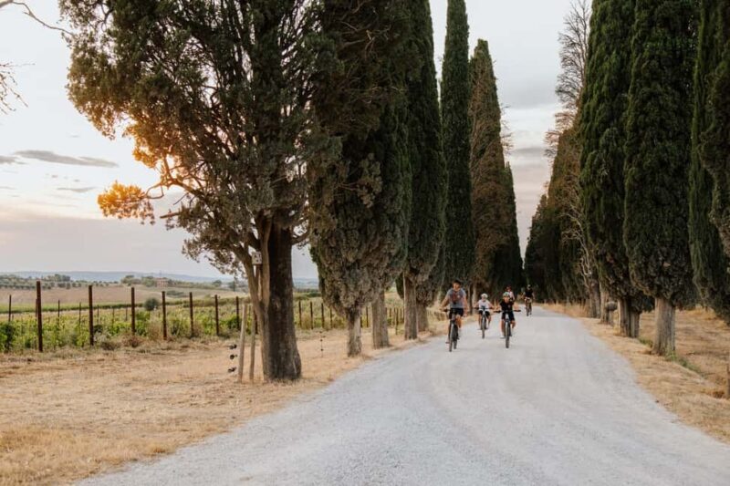 Cortona: Val di Chiana E-Bike Tour with Optional Wine Lunch - What to Expect During the Ride