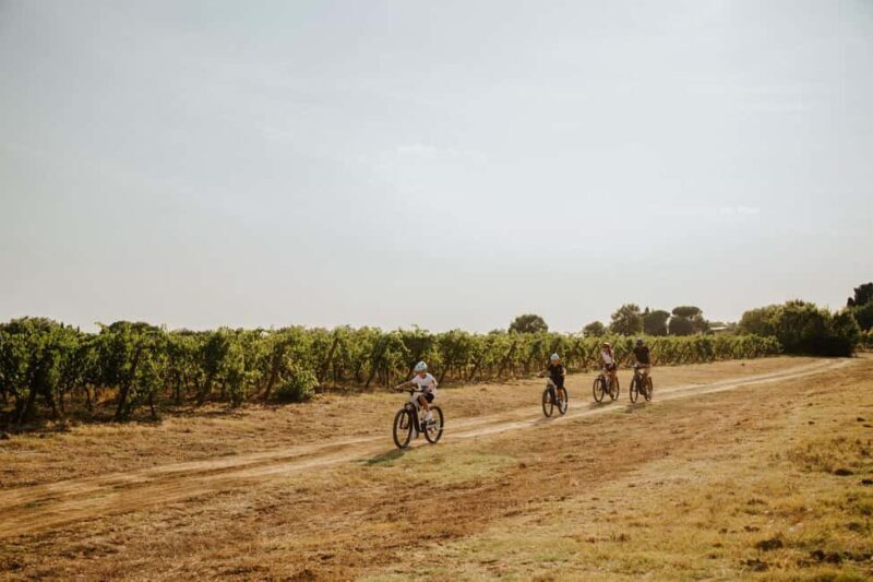 Cortona: Val di Chiana E-Bike Tour with Optional Wine Lunch - Who Will Love This Tour?