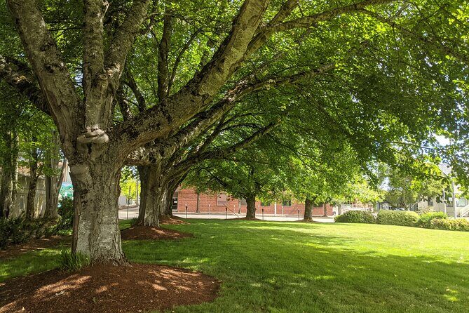 Corvallis Scavenger Hunt Walking Tour and Game - Authentic Insights & Tips