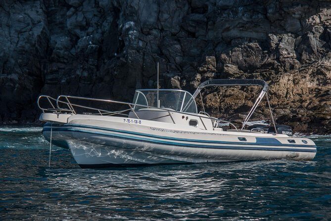 Costa Adeje | Cetacean sighting in Tenerife South - FAQs  