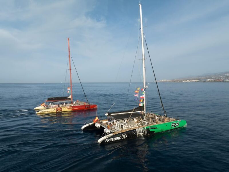 Costa Adeje: Masca and Los Gigantes Whale Watching Cruise - The Experience in Detail