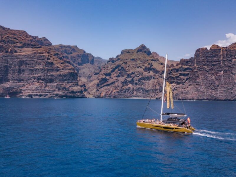 Costa Adeje: Masca and Los Gigantes Whale Watching Cruise - Why You’ll Likely Love This Tour
