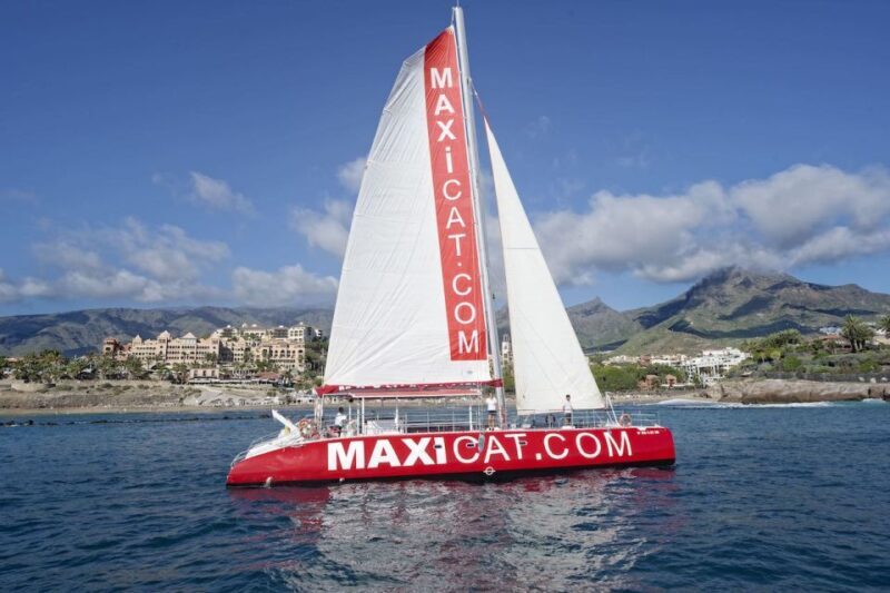 Costa Adeje: Whale and Dolphin Cruise with Food and Pickup - Setting Sail: What to Expect on the Cruise