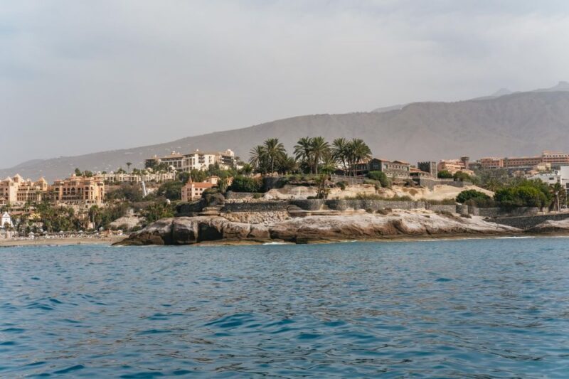 Costa Adeje: Whale & Dolphin Eco-Cruise with Snacks & Drinks - FAQ: Your Practical Questions Answered