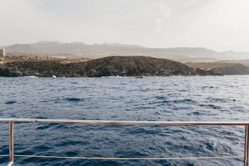 Costa Adeje: Whale & Dolphin Eco-Cruise with Snacks & Drinks - The Sum Up