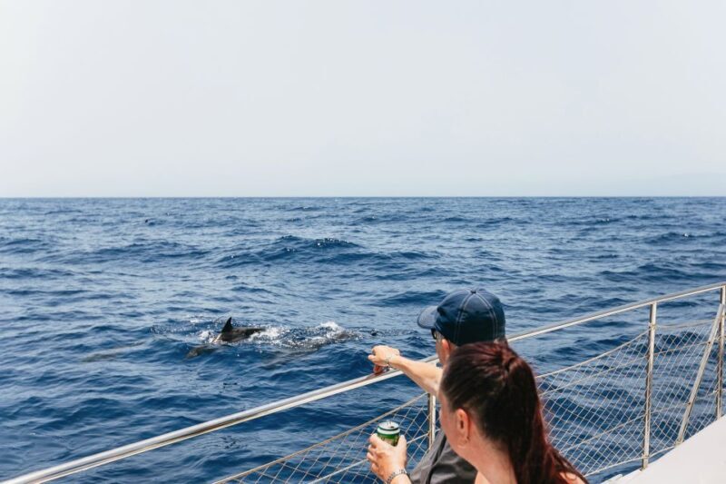 Costa Adeje: Whale Watching Catamaran Tour with Drinks - The Itinerary in Detail