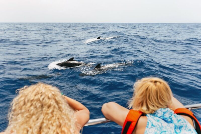 Costa Adeje: Whale Watching Catamaran Tour with Drinks - Authentic Guest Insights and Experiences