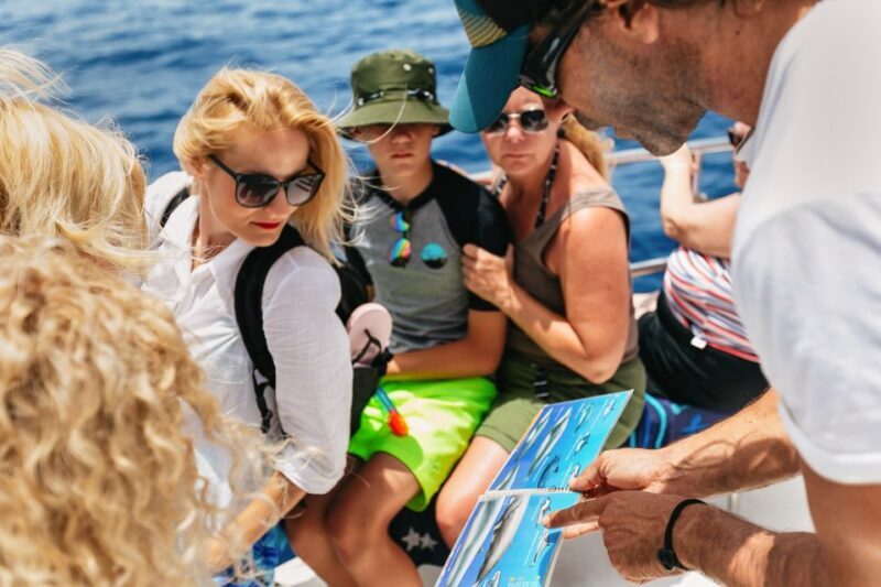 Costa Adeje: Whale Watching Catamaran Tour with Drinks - Who This Tour Is Perfect For