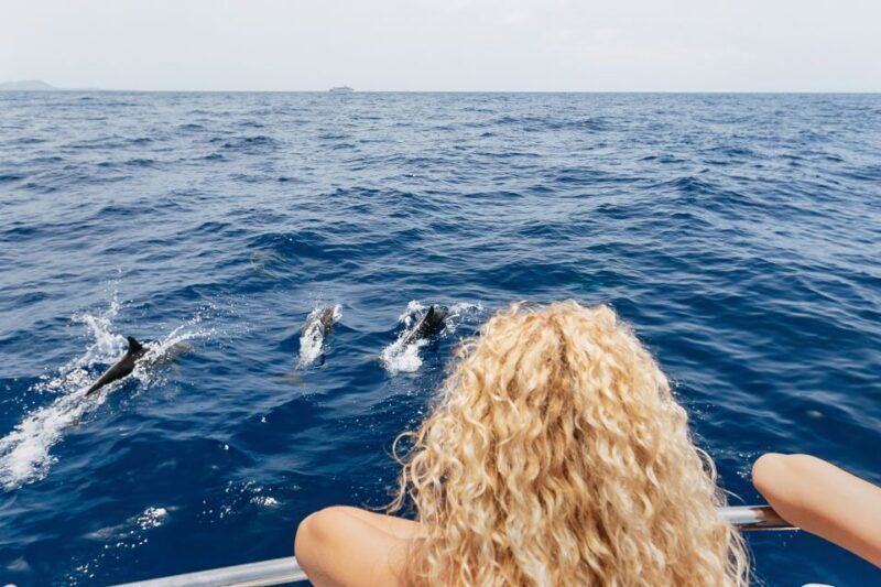 Costa Adeje: Whale Watching Catamaran Tour with Drinks - FAQ