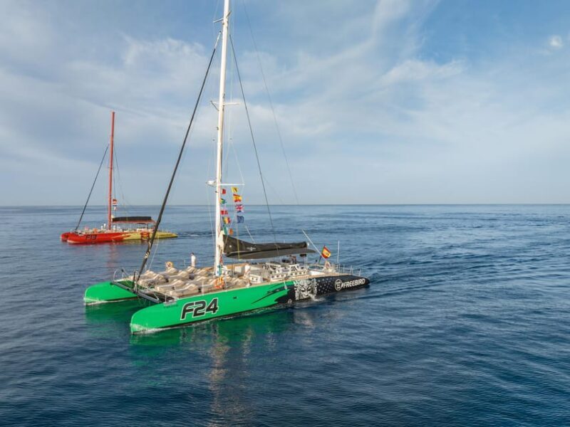 Costa Adeje: Whale Watching Cruise - Why Choose the Costa Adeje Whale Watching Cruise?