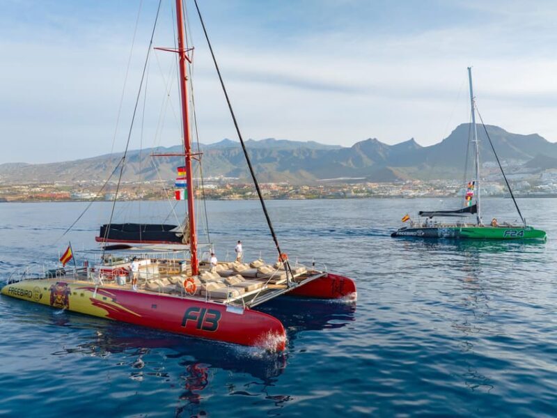 Costa Adeje: Whale Watching Cruise - Practical Details & Tips