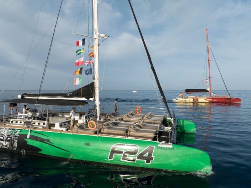 Costa Adeje: Whale Watching Cruise - The Sum Up