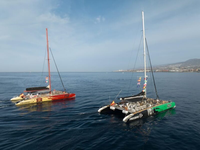 Costa Adeje: Whale Watching Cruise - FAQ