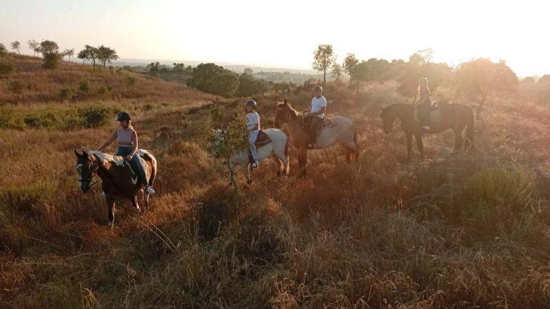 Costa Alentejana: Horse tour in Serra de Grândola - Authentic Encounters and Real Traveler Feedback