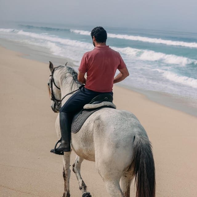 Costa Alentejana: Horse tour in Serra de Grândola - Final Thoughts