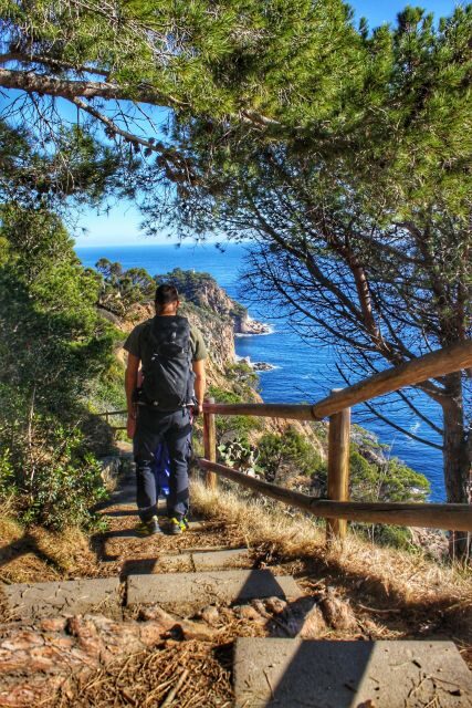 Costa Brava: Discovering Coastline, Tossa de Mar and Lunch - Key Points
