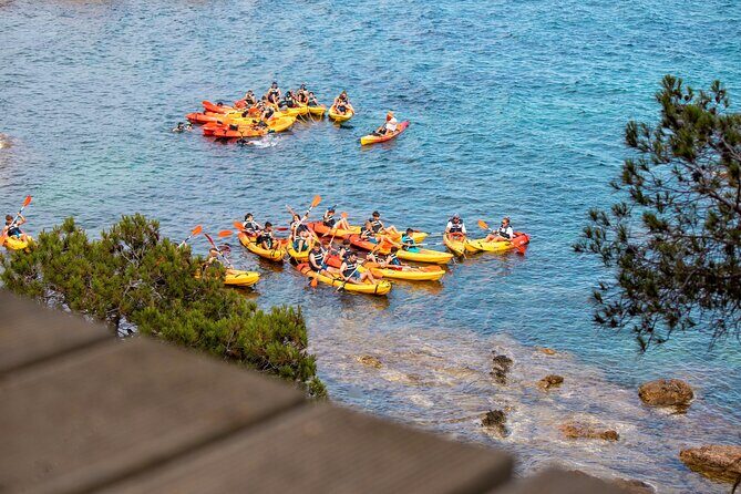Costa Brava Guided Kayak and Snorkeling Excursion in Playa de Aro - Key Points