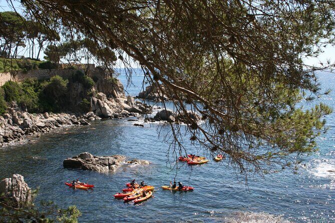 Costa Brava Guided Kayak and Snorkeling Excursion in Playa de Aro - Final Thoughts: Who Will Love This Experience?