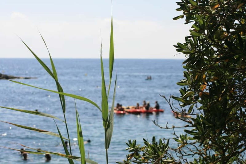 Costa Brava: Sant Feliu de Guíxols Kayak & Snorkel Tour - Final Thoughts